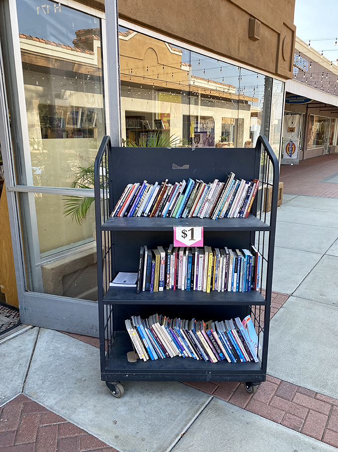 A dollar for books? That's cheaper than the coffee you'll drink while reading them. Literary bargains that make bibliophiles weak at the knees.