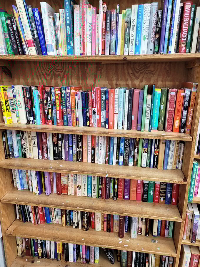 Book collections that could keep you reading through multiple winters without breaking the bank.