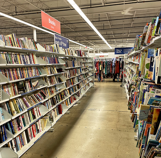 The book aisle&mdash;a paper paradise where dog-eared paperbacks and forgotten bestsellers wait to transport you for just a couple of dollars.