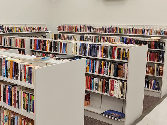 The book section rivals small-town libraries, offering everything from last year's bestsellers to cookbooks with only one recipe attempted.
