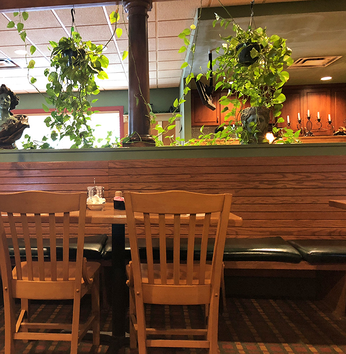 Hanging plants add a touch of greenery to the dining experience. Nature meets nurture in this cozy corner.
