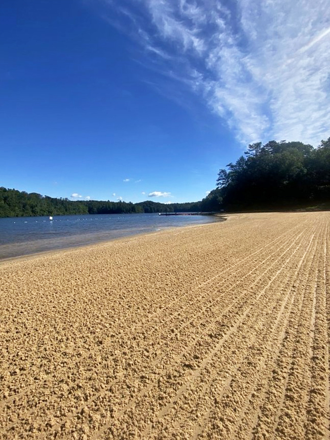 Freshly groomed beach meets crystal clear water, creating the perfect backdrop for pretending you're on vacation somewhere much more expensive.