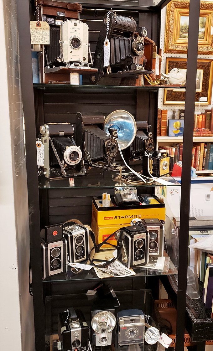 Not just cameras, but mechanical time machines that once captured someone's precious memories. Each viewfinder framed a moment now lost to history.