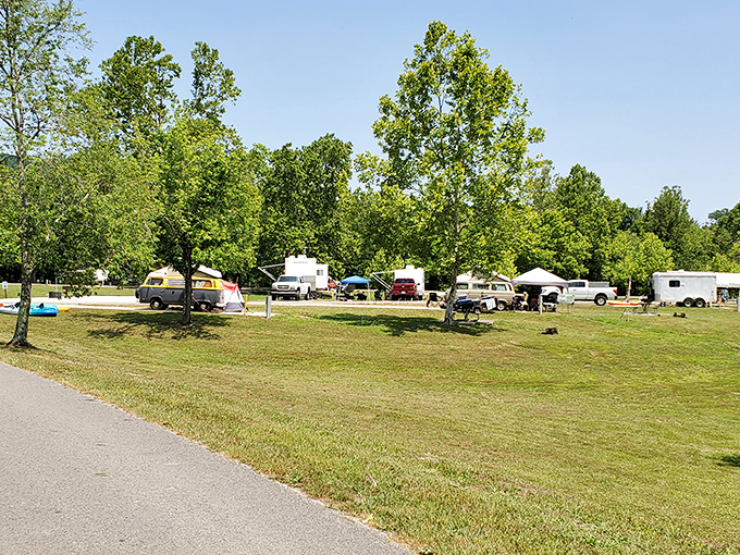 Campers find their temporary neighborhoods beneath towering trees, where WiFi signals weaken but human connections strengthen.