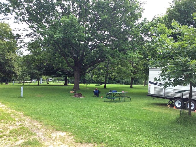 Campgrounds where your neighbors are trees and the only noise ordinance involves respecting sleeping birds. 