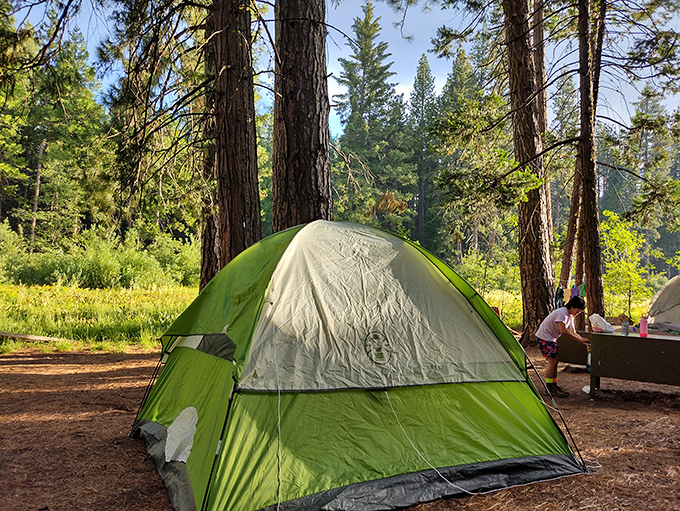 Camping here means waking up in the shadow of 2,000-year-old neighbors who never complain about noise.
