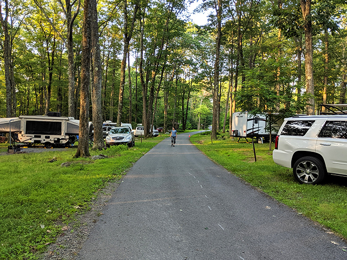 Campground road stretches between trees and RVs, where temporary neighbors form a pop-up community united by their love of not being at work.
