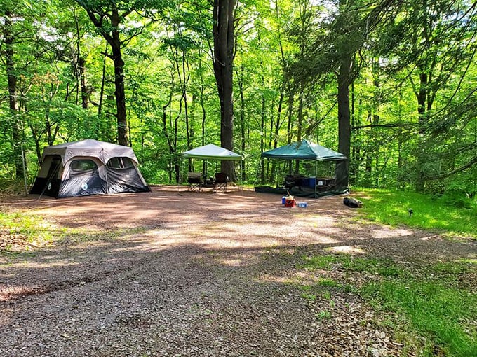 Camping under the emerald canopy feels like nature's five-star accommodation. No room service, but the ceiling stars more than make up for it.