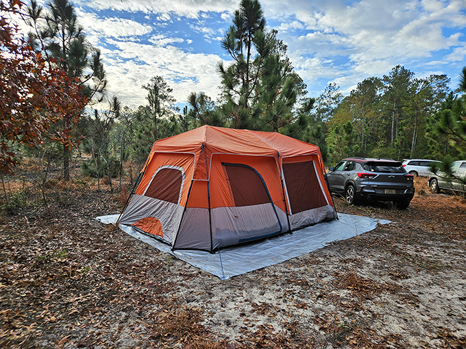 Camping at Lake Waccamaw&mdash;where five-star accommodations mean a million visible stars and the sweet symphony of crickets.