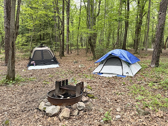 Camping at Mauch Chunk – where your temporary address includes a fire pit, forest canopy, and stars as your ceiling.