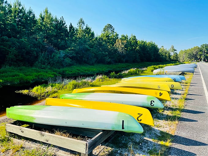 A rainbow of canoes awaiting adventure&mdash;each numbered so rangers can find you when you inevitably take that wrong turn.