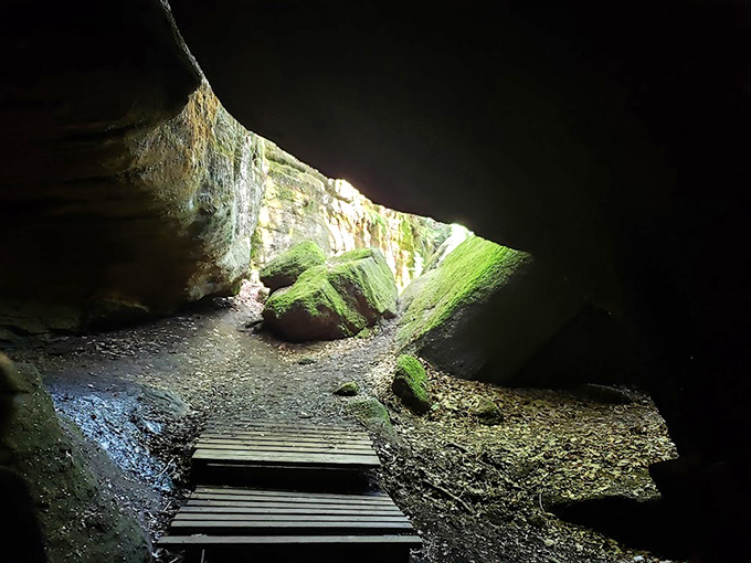 "Enter if you dare" whispers this mysterious passage. The wooden walkway promises adventure without the twisted ankles. Smart engineering meets wilderness.