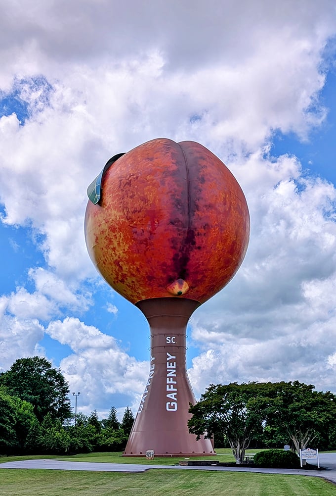 Even against dramatic clouds, the Peachoid commands attention. It's the diva of water towers, demanding to be photographed from every angle.