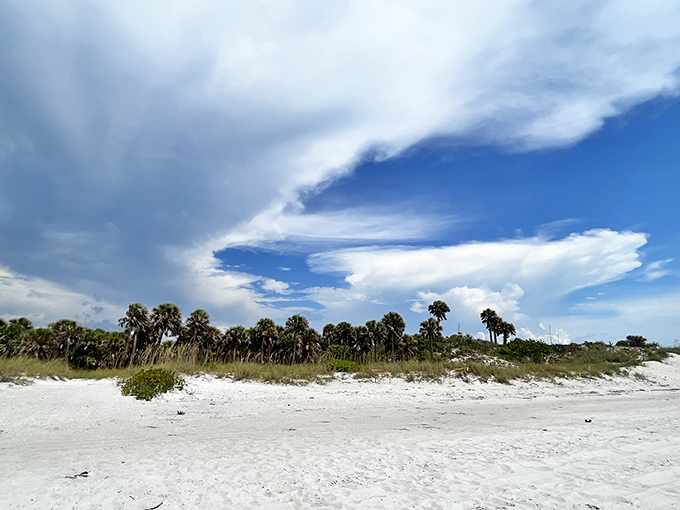 Cloud formations that would make Georgia O'Keeffe reach for her paintbrush hover over pristine beaches where footprints disappear with each gentle tide.