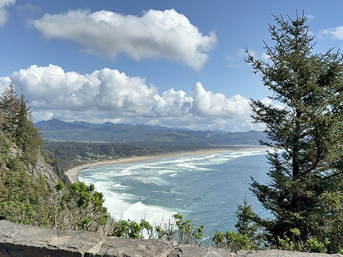 Sweeping coastline that goes on forever: From these heights, you can practically see tomorrow coming around the curve of the earth.