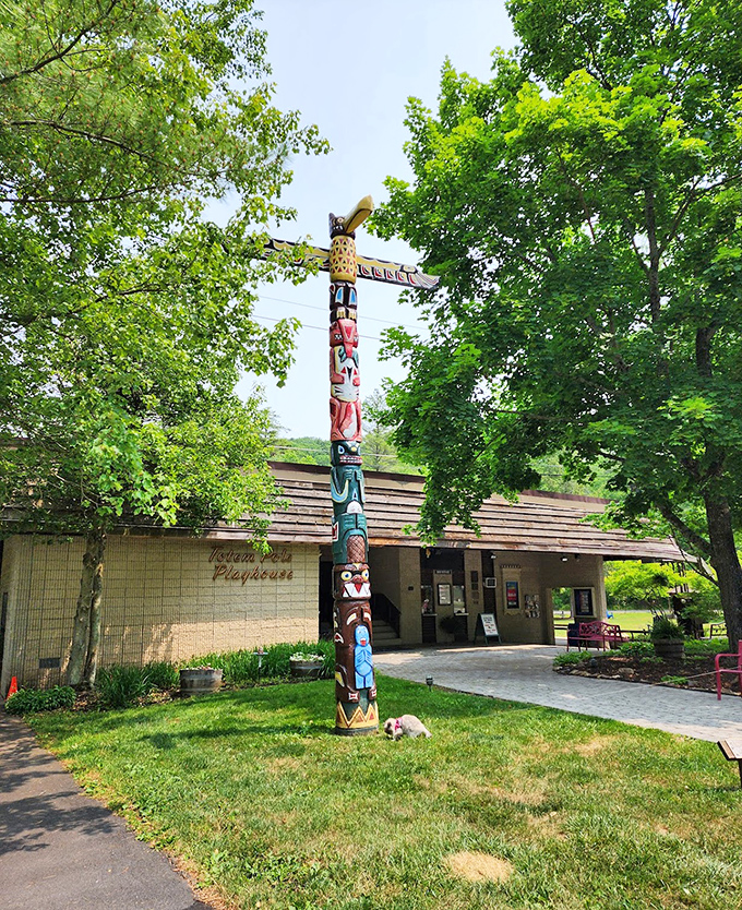 Standing tall like a woodland guardian, this totem pole adds unexpected whimsy to the forest.
