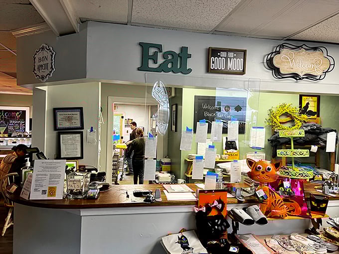 Behind every great cafe is a counter that tells stories. This one says, "Yes, we're serious about cats AND serious about feeding you well."