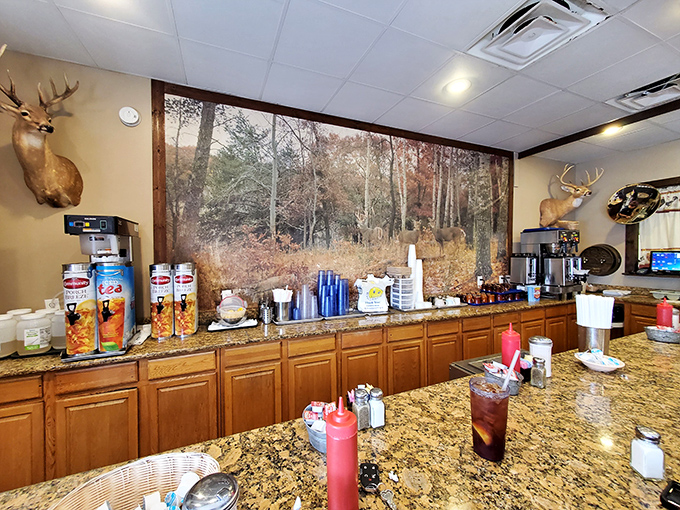The counter area doubles as a hunting lodge fantasy, where deer mounts watch approvingly as coffee refills appear like magic.