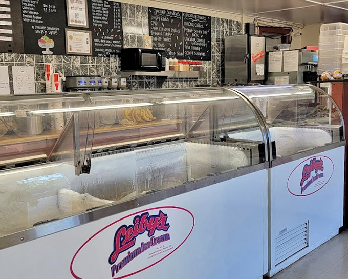 Behind this counter, ice cream dreams come true&mdash;Nelson's premium flavors standing at attention, ready for scooping duty.