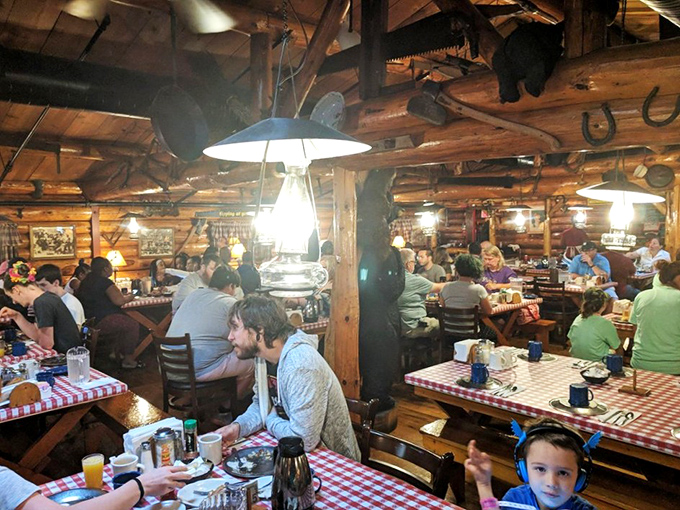 Where strangers become temporary family, united by the universal language of "please pass the biscuits" and "yes, I'll have seconds."