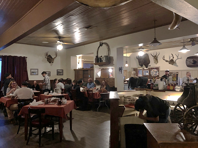 Where strangers become friends and everyone shares a common religion: the worship of perfectly grilled protein. The mounted trophies nod in approval.