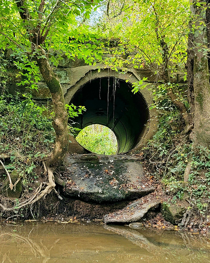 Not all passages are wooden&mdash;this stone culvert offers its own humble contribution to Morgan County's rich transportation history.