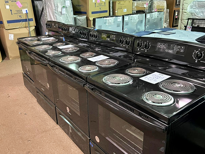 Electric ranges ready to cook up savings that would make Gordon Ramsay speechless.