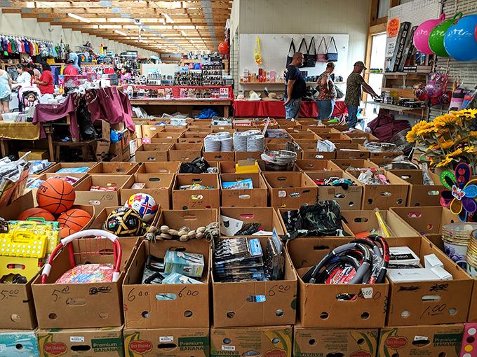Organized chaos at its finest&mdash;these cardboard treasure chests hold potential gold mines of nostalgia and practical finds alike.