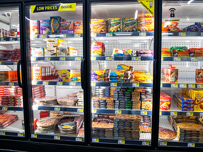 Frozen food treasures behind glass doors—where quick dinners and midnight snacks wait patiently in their frosty hibernation.