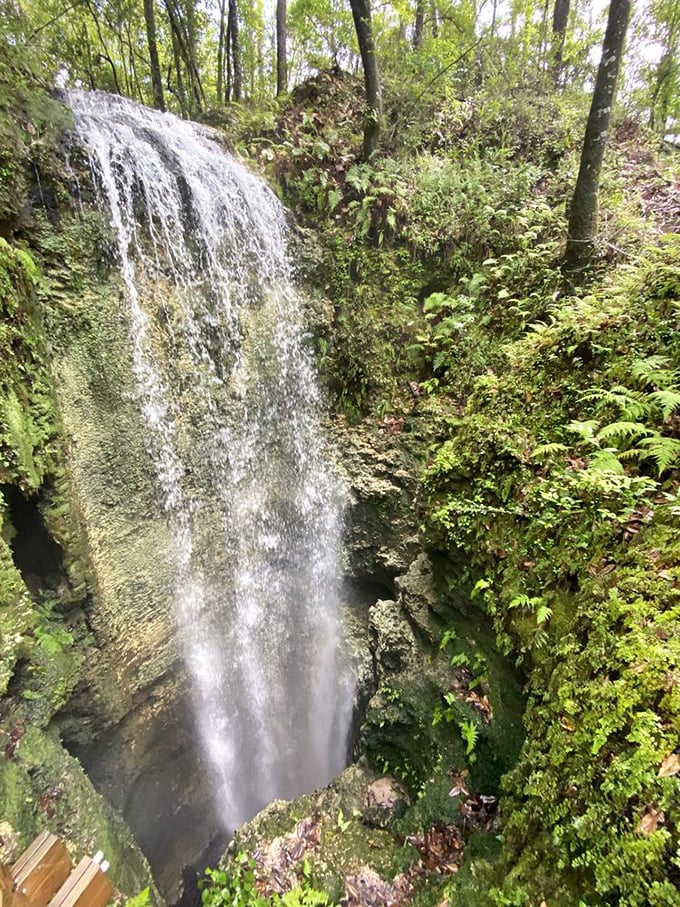 Florida's tallest waterfall puts on a show that would make Niagara roll its eyes, but what it lacks in volume it makes up for in mystery.