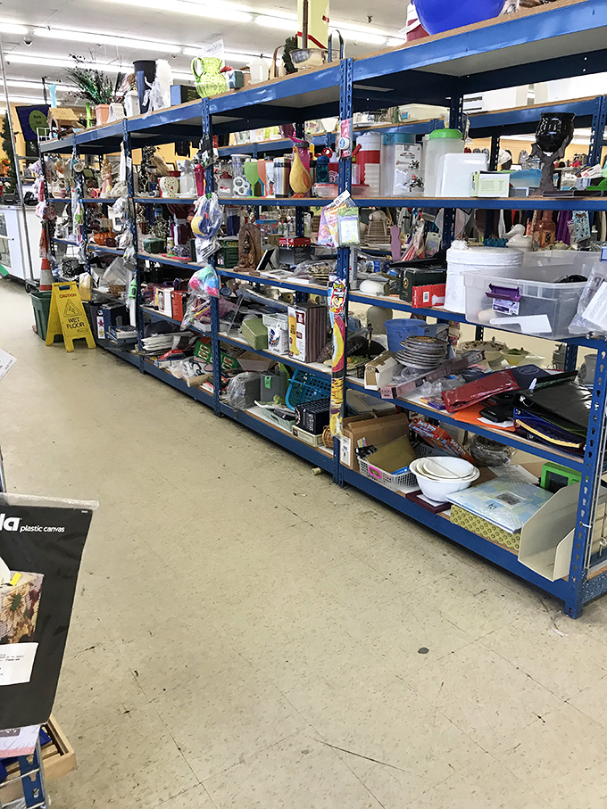 Blue shelving creates canyons of possibility, with housewares on one side and clothing on the other&mdash;a thrifter's paradise.