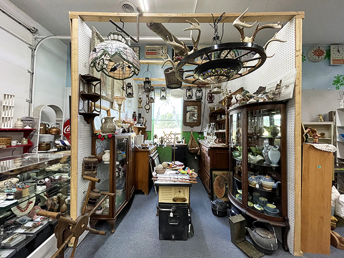 A curated chaos of curiosities where rustic meets refined. The antler chandelier watches over treasures below.