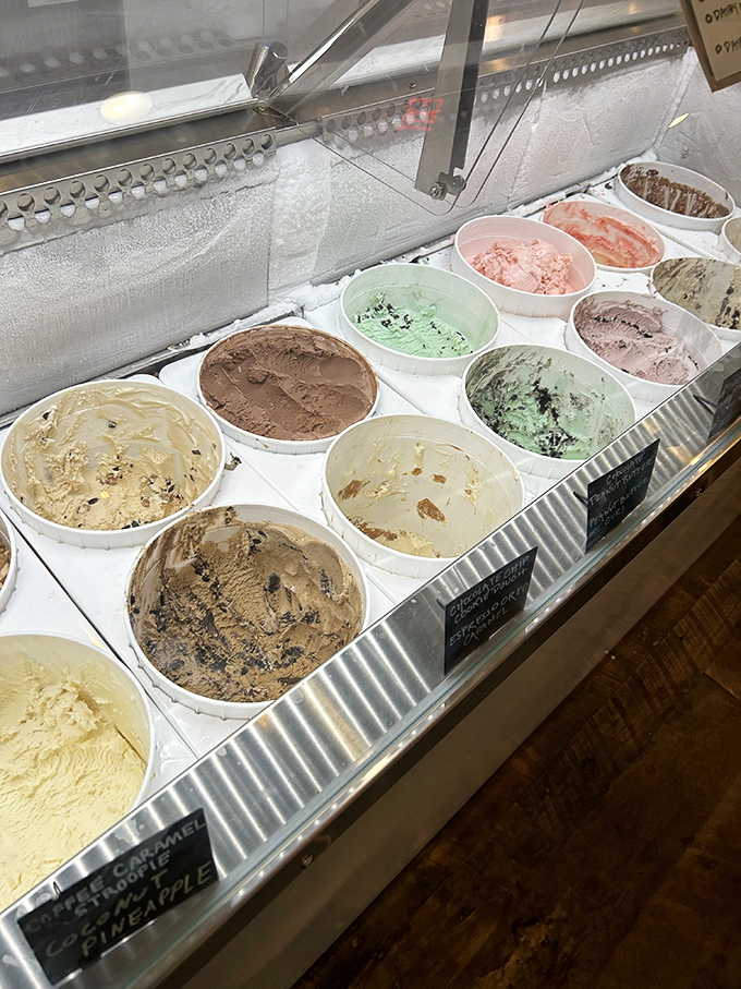 The display case reveals a rainbow of flavors&mdash;each container a doorway to a different sweet adventure.