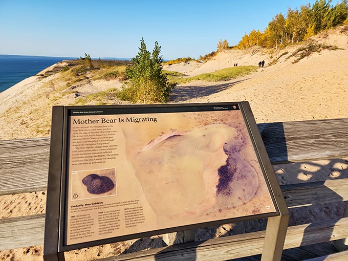 The legend behind the landscape: a mother bear waiting eternally for her cubs. Geology meets mythology on this weathered sign.