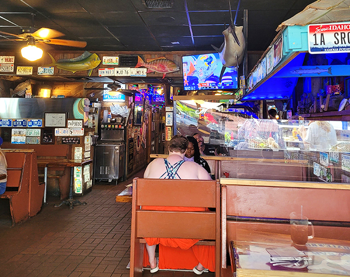 Wooden booths worn smooth by decades of elbows tell you this place has history &ndash; and the license plates tell you it has fans.