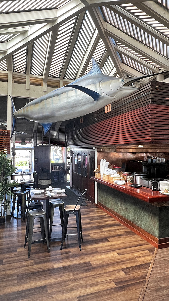 A marlin watches over diners from its perch &ndash; the closest you'll get to knowing what your dinner looked like before it became, well, dinner.