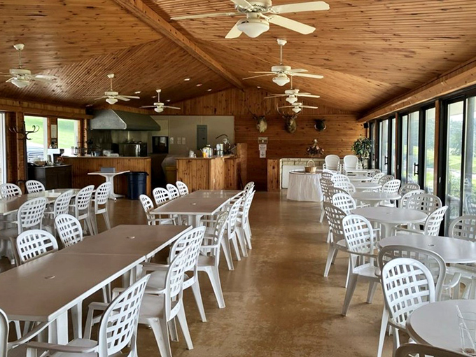 Rustic wood paneling and simple white chairs create a blank canvas where the food becomes the masterpiece. No distractions, just dining as it should be.
