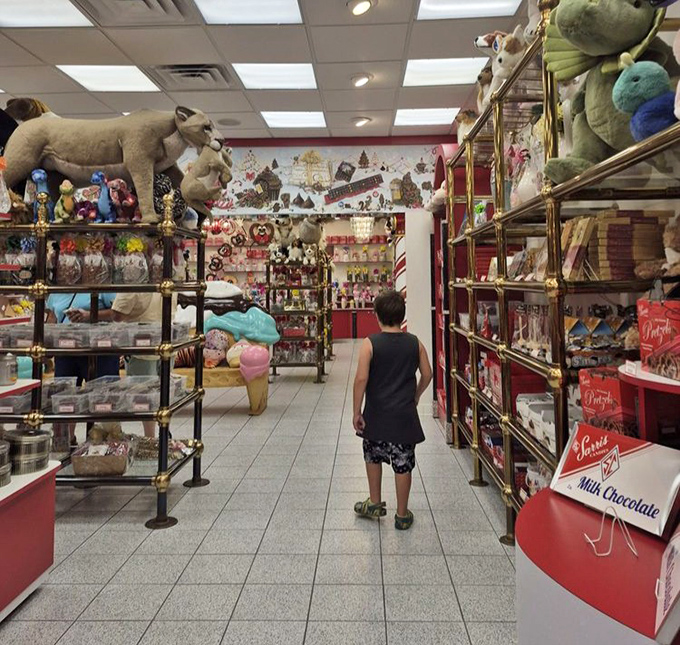 Stuffed animals stand guard over candy treasures. Even grown men become eight-year-olds again when walking these magical aisles.