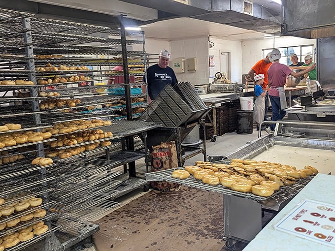 Where the magic happens. Witness the behind-the-scenes choreography of donut production, a ballet of flour, sugar, and tradition.