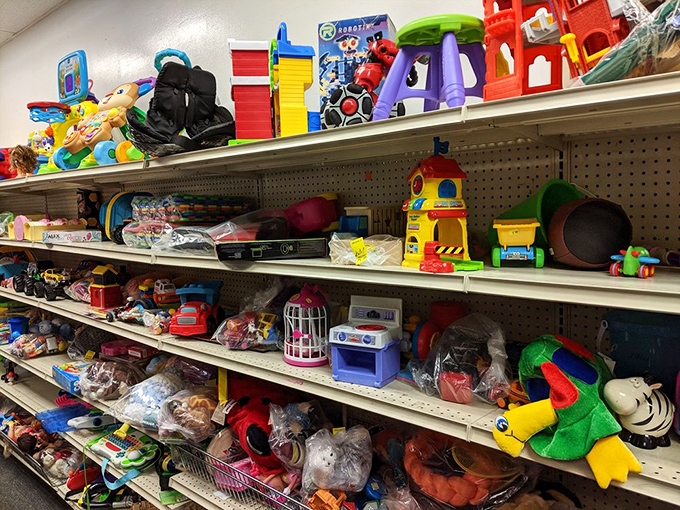 The toy section: where yesterday's playthings await tomorrow's imaginations, a plastic time capsule of childhood joy.