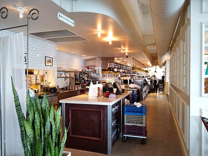 Behind every great seafood restaurant is a kitchen corridor where culinary magic happens. The backstage pass to flavor town looks surprisingly organized.