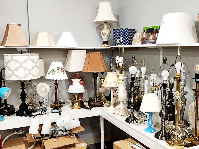 The lamp section illuminates possibilities for every d&eacute;cor style, from grandma-chic to mid-century modern, all waiting for their switch to be flipped.