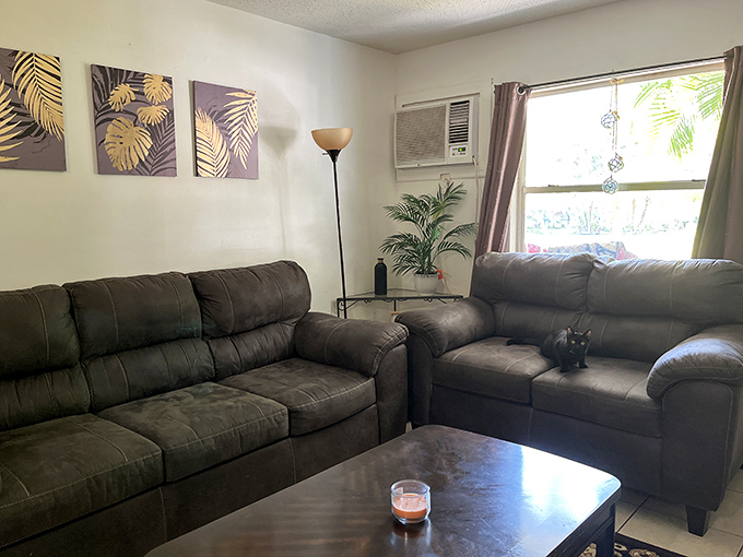 This leather sectional setup could be straight out of a home staging magazine &ndash; proof that secondhand doesn't mean second-rate.