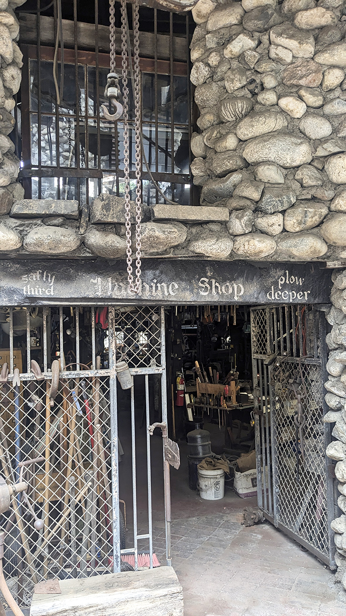 Practical spaces blend seamlessly with artistic vision, creating functional beauty that defies conventional architectural rules.