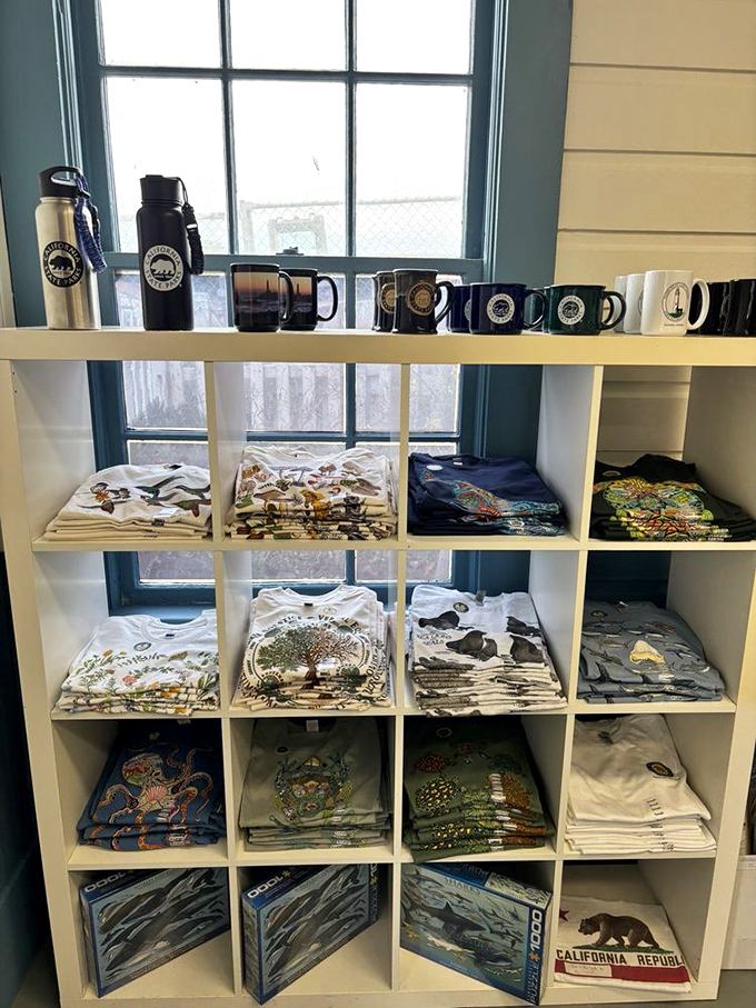 Lighthouse merch that lets you bring home maritime charm without the maintenance headaches of an actual lighthouse.