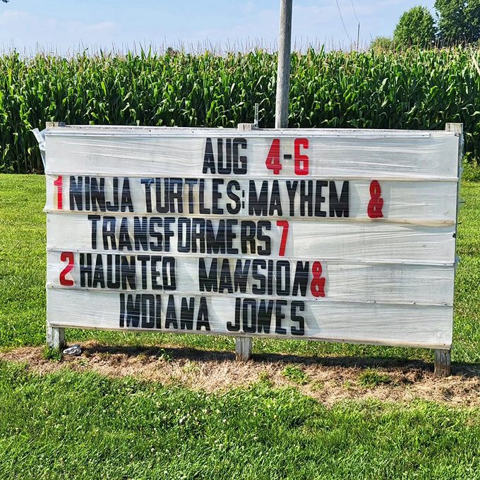 Old-school movie advertising at its finest&mdash;where else can you catch Ninja Turtles and Indiana Jones back-to-back without touching a remote?