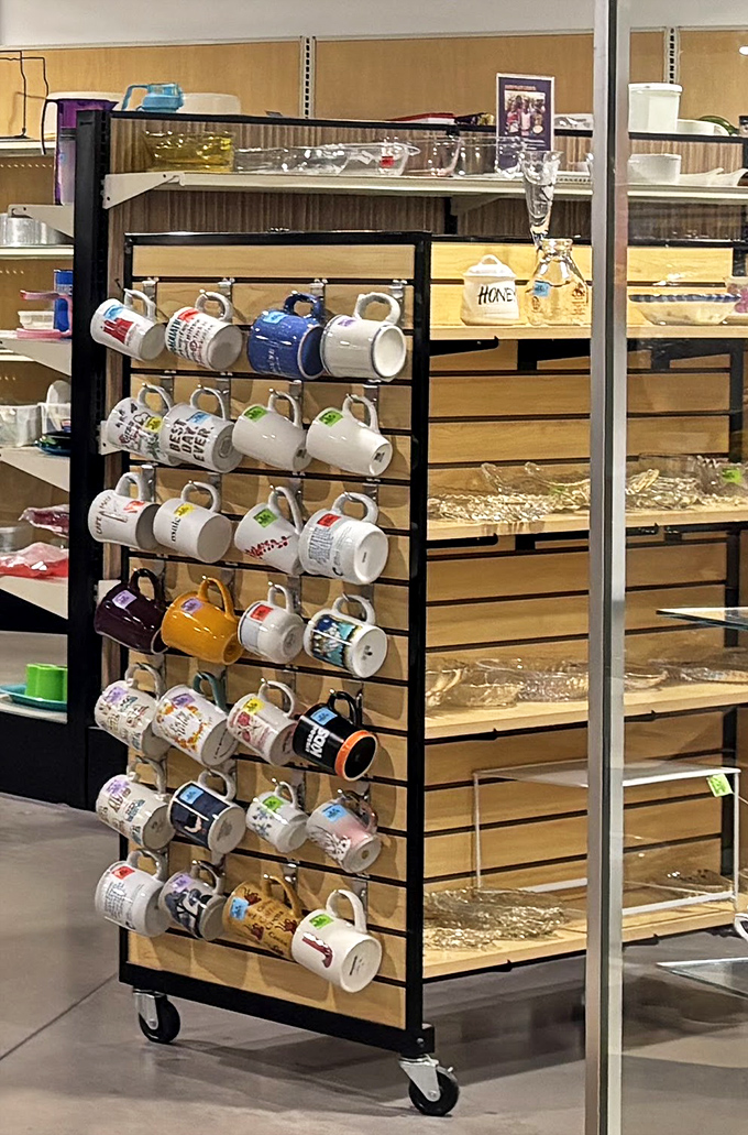 Mugs with personality line up like eager candidates at a job interview, each one hoping to become your next favorite morning companion.