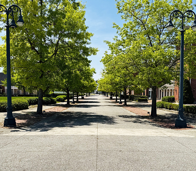 Glimpses of the basket from nearby buildings offer a surreal juxtaposition of everyday small-town life with monumental woven whimsy.