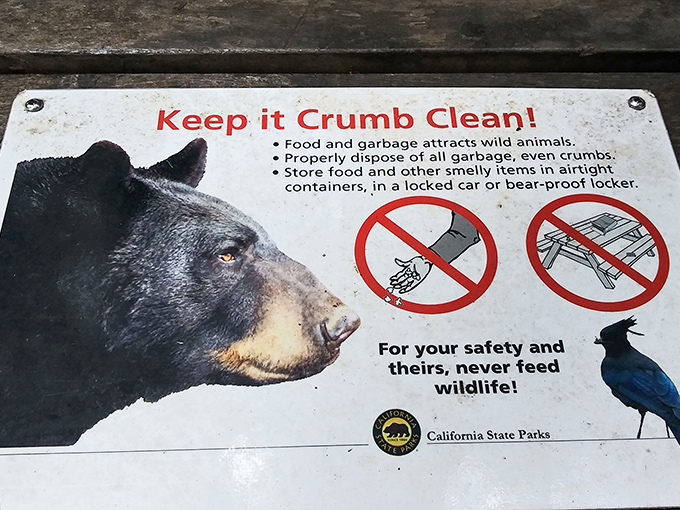"Keep it Crumb Clean!" &ndash; sage advice from California's bears, who'd prefer we didn't turn their forest home into an all-you-can-eat buffet.