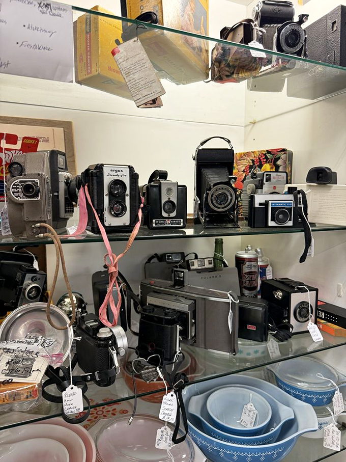 Before smartphones, these mechanical marvels captured life's moments. Each vintage camera tells stories of family vacations and first steps.